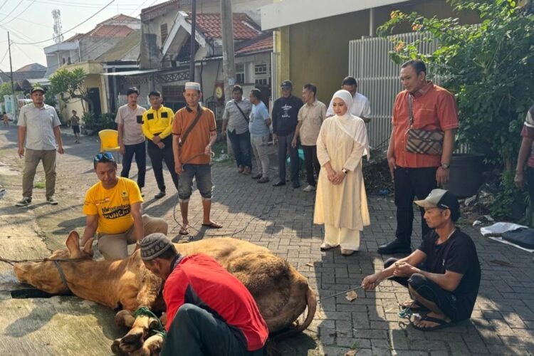 Adela Kanasya Salurkan 51 Hewan Kurban untuk Warga Surabaya-Sidoarjo ...