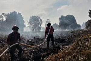BMKG Prediksi Puncak Musim Kemarau Juli-September 2026 | Bicara Indonesia